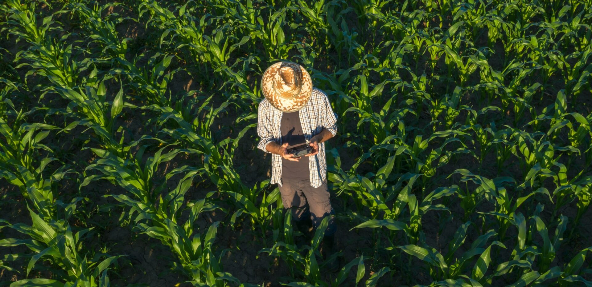 Measuring Progress Global Alliance For Trade Facilitation