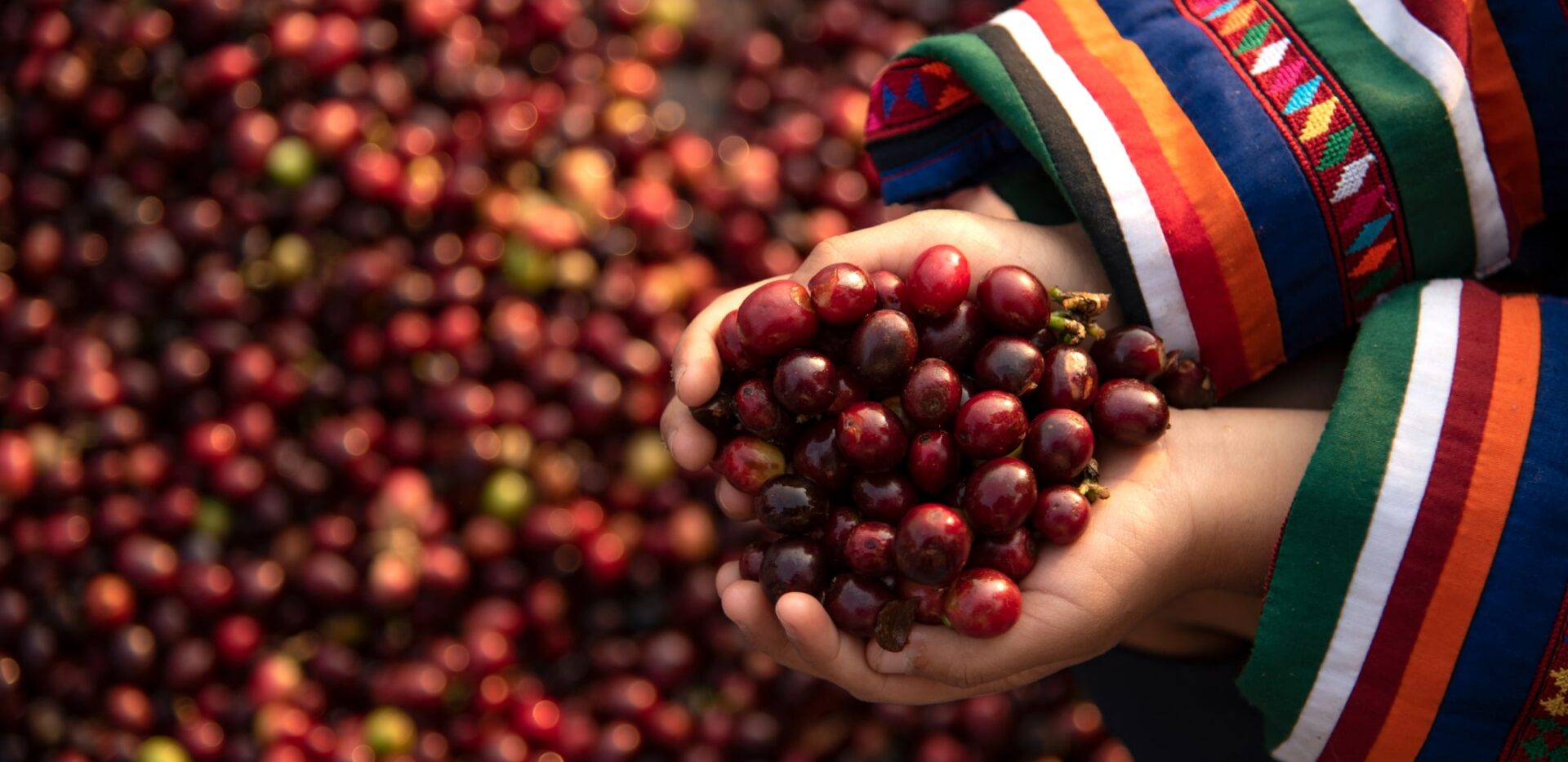 Our Difference - Global Alliance for Trade Facilitation